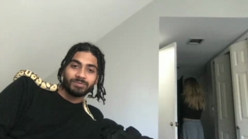 Lilbabydai - Archive